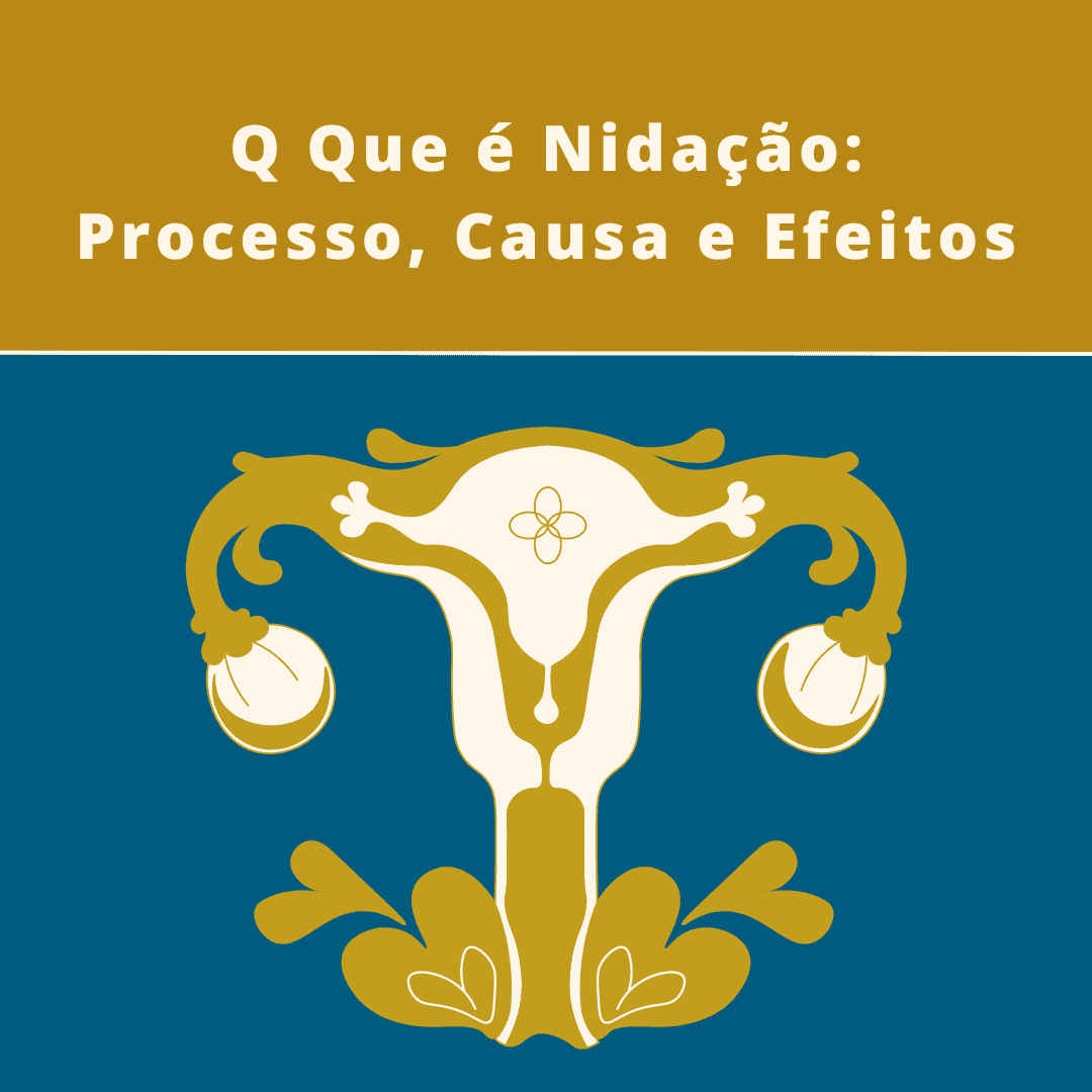 Q Que é Nidação: Processo, Causa E Efeitos